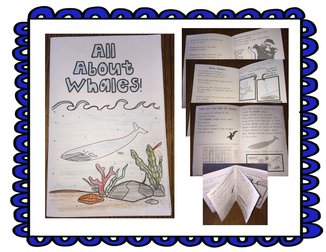 Carolyn's Classroom: Whales!