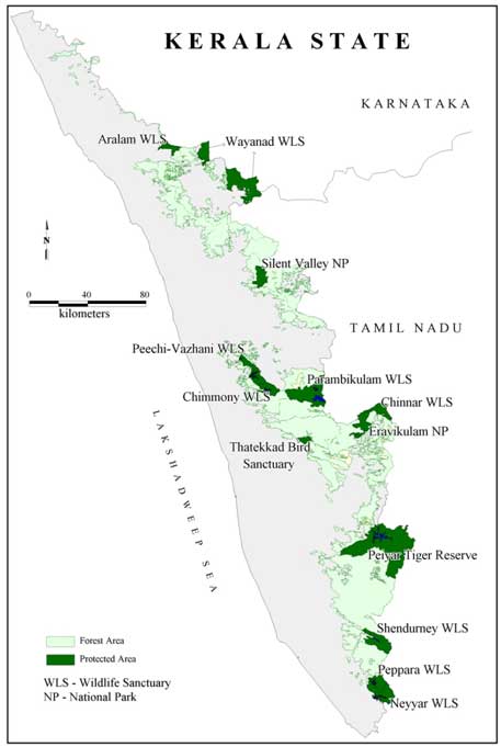 Academic: List of Important National Parks & Wildlife Sanctuaries of India