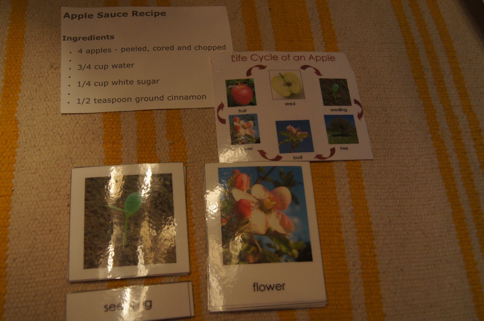 Montessori Leaf Cabinet, Montessori Botany At Home Part 2 - "Making ...
