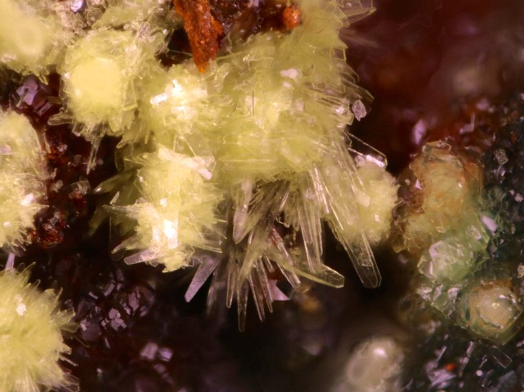 Scientists Discovered Three New Uranium Minerals in Utah | Geology In