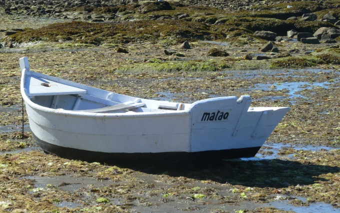 Bursledon Blog: Mala