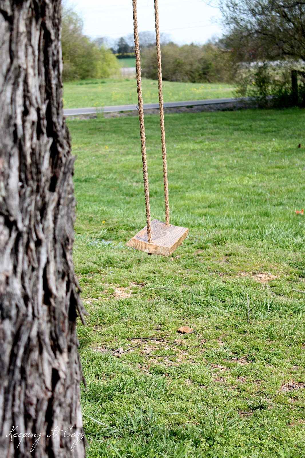 Keeping It Cozy: A Tree Swing