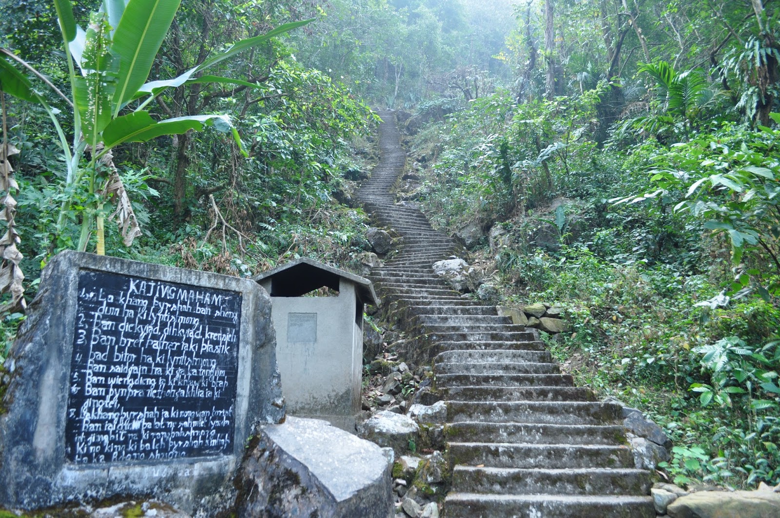 Road Less Travelled: Double Decker Root Bridge A Living Legend!