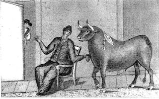 De Hombres,Toros y Caballos