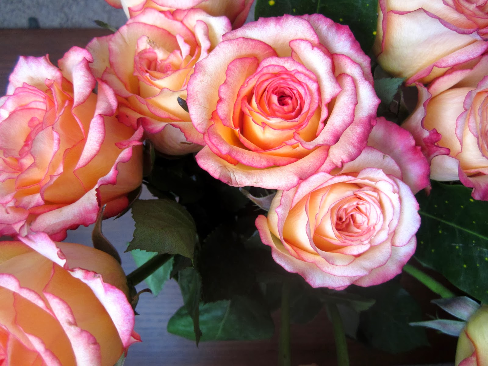 heroine jones: V-Day