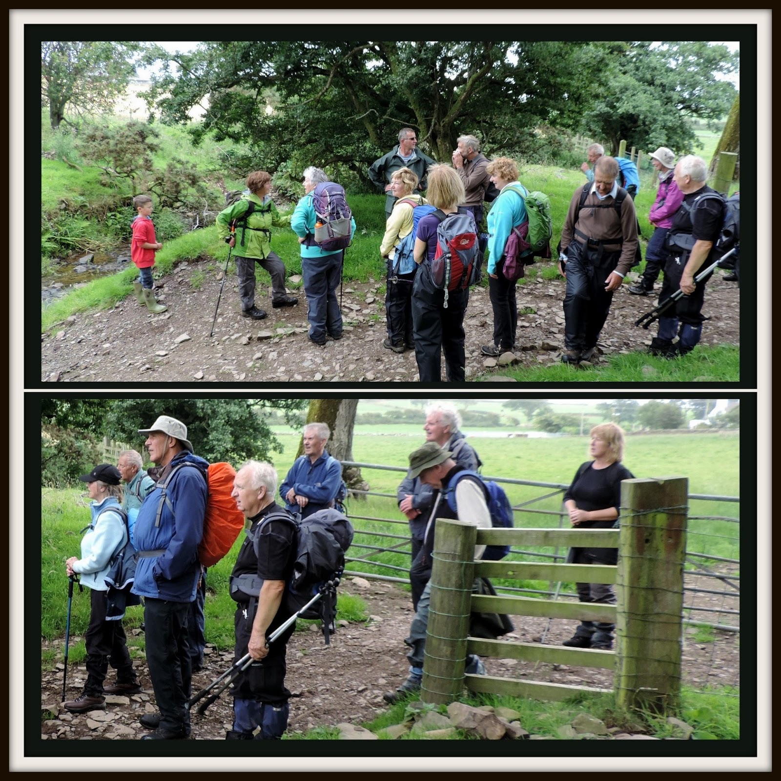 The Glebe Blog: Wigtownshire Ramblers Stoneykirk Circular August 2013