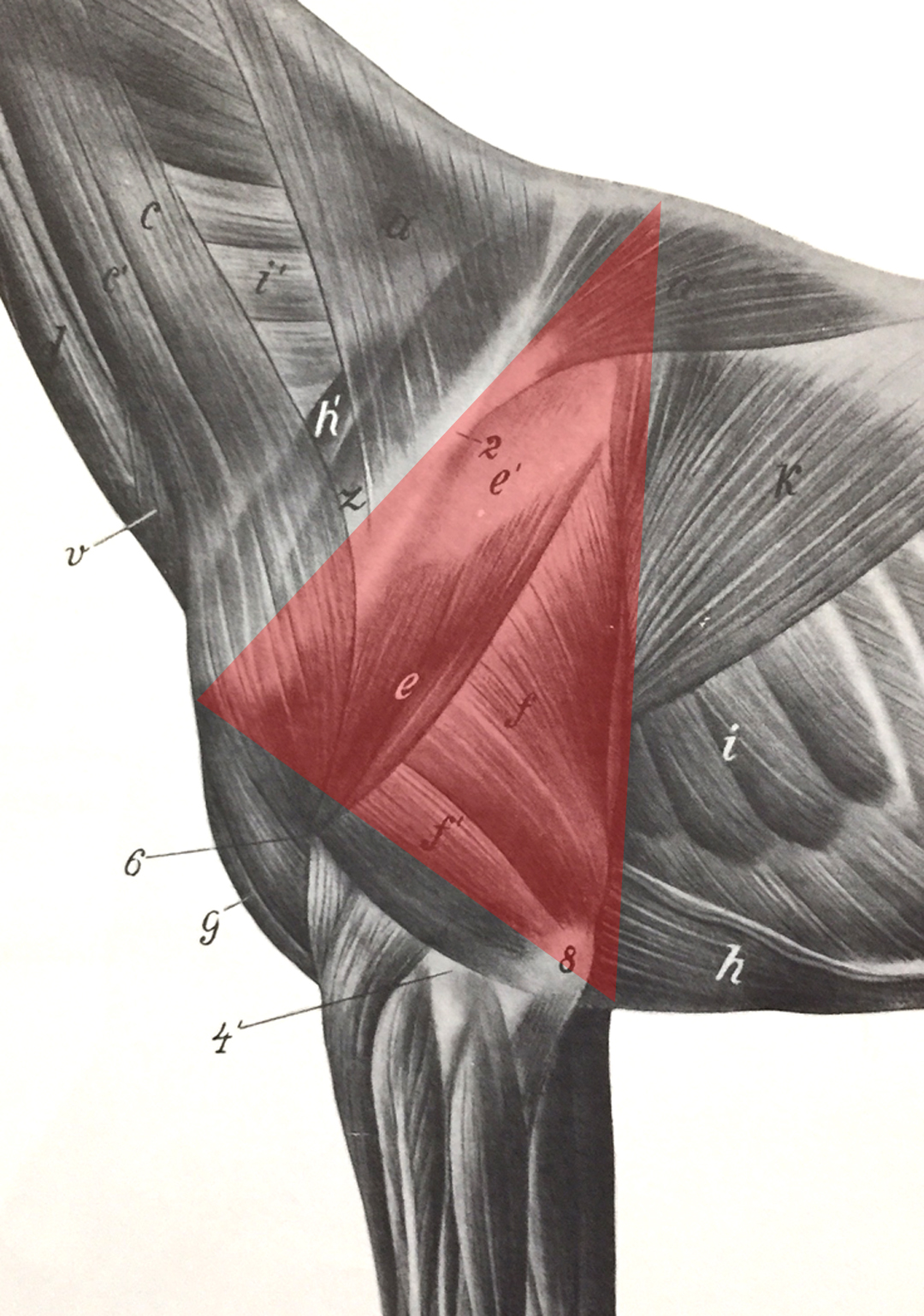 Musings at Minkiewicz Studios LLC: The Inner Eye: Quick Visualization ...