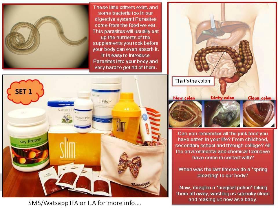 BIOS LIFE MALAYSIA EXCLUSIVE FRANCHISOR: Perfect combo for internal ...