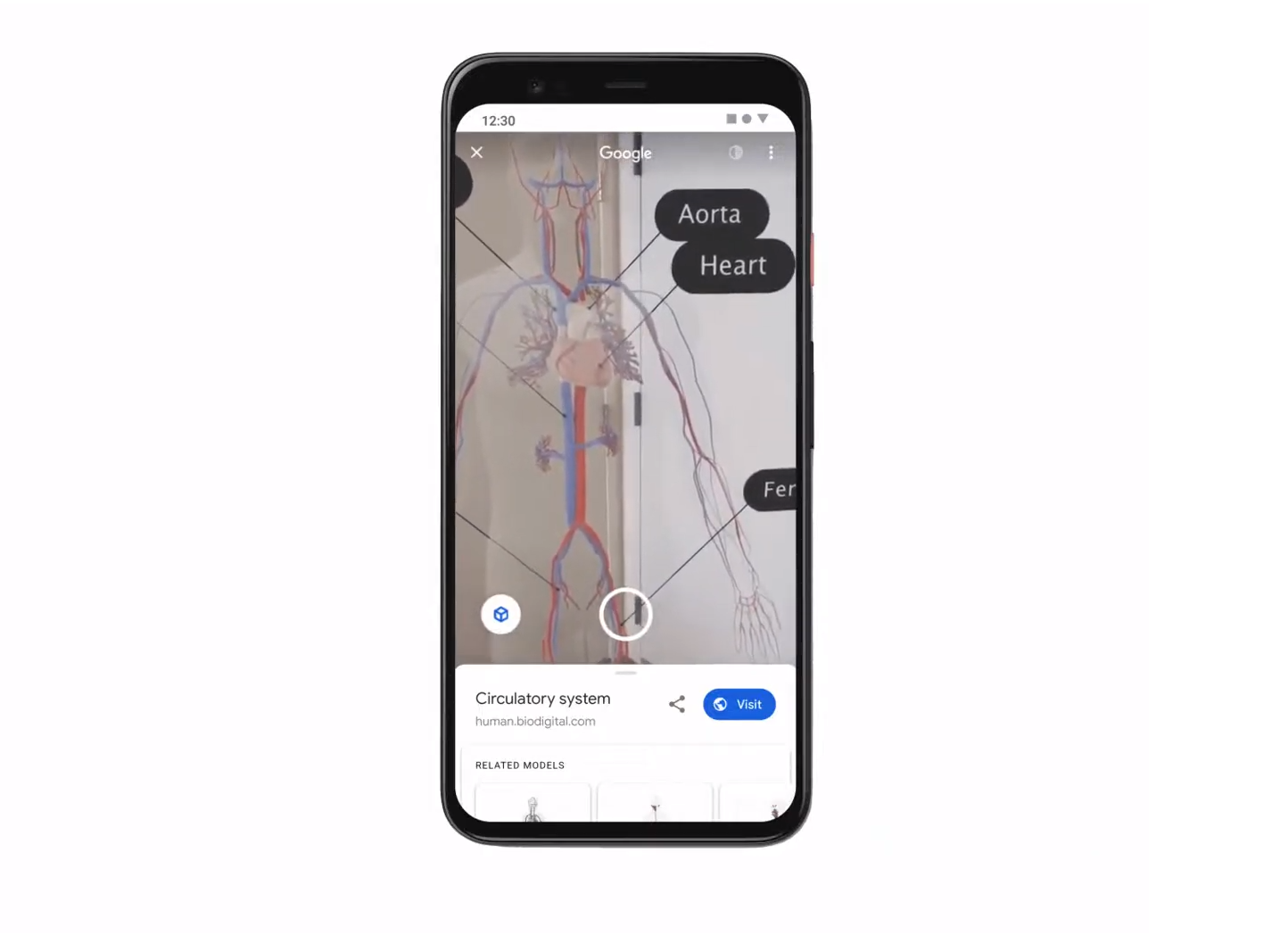 Google Search Now Features More 3D And AR-Based Objects, Making At-Home ...