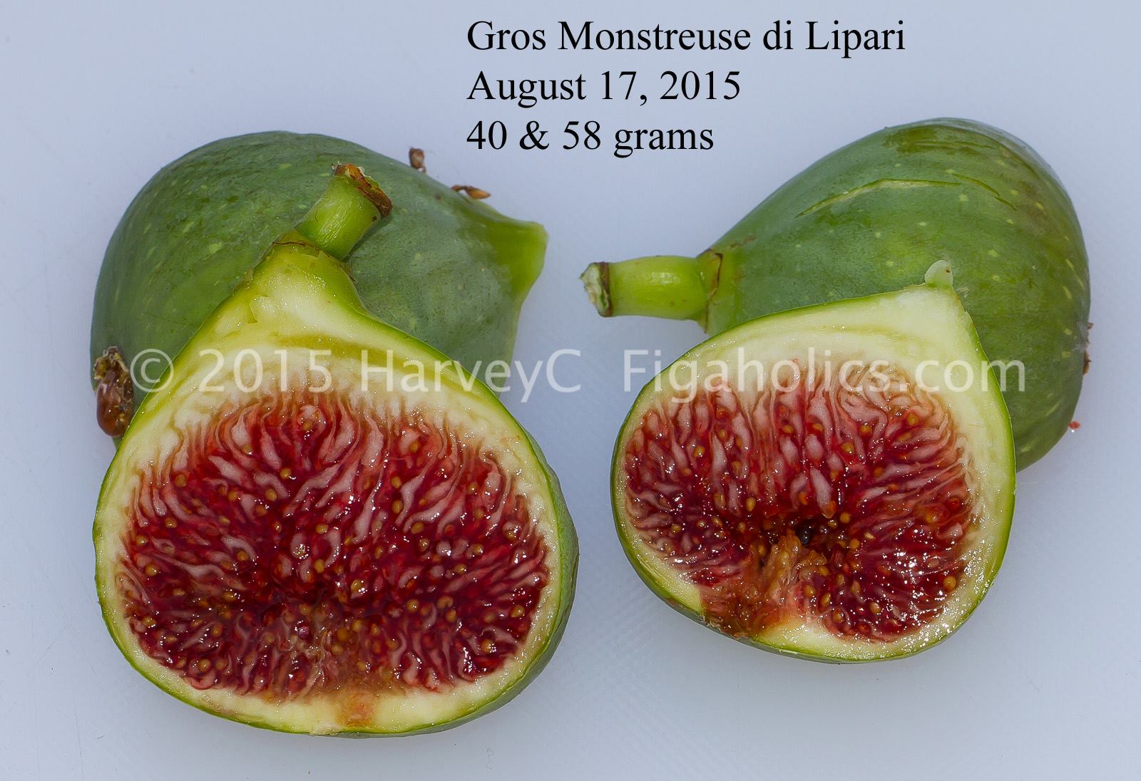 Seattle Garden & Fruit Adventures: February 2016