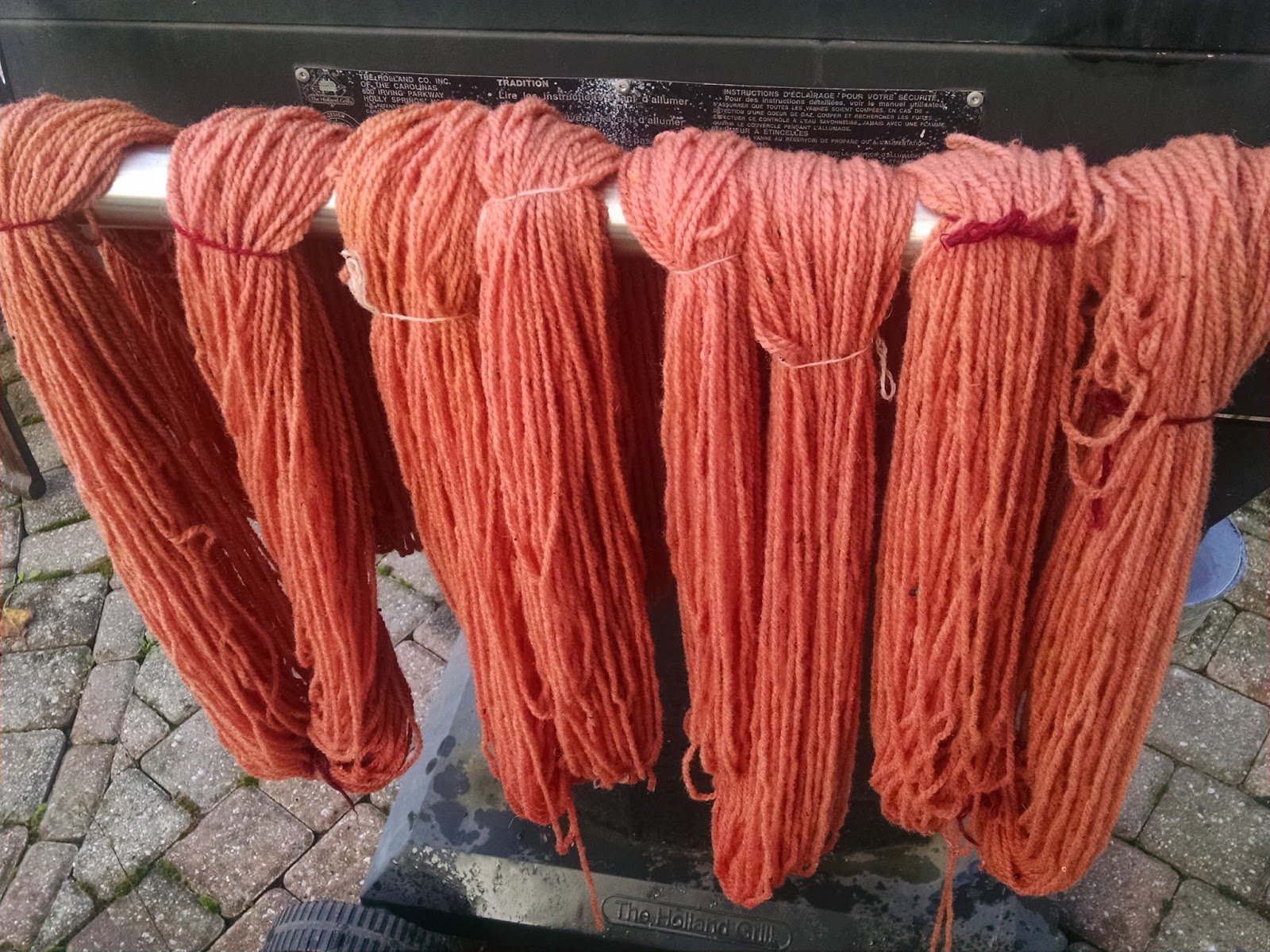 Pokeweed natural dye