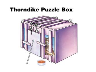 Thorndike and Cat box: VIDEO