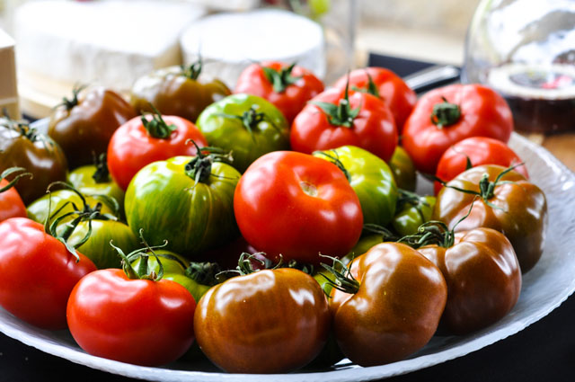 Handpicking the Rose Centifolia in Grasse, France – Emily Jane Johnston