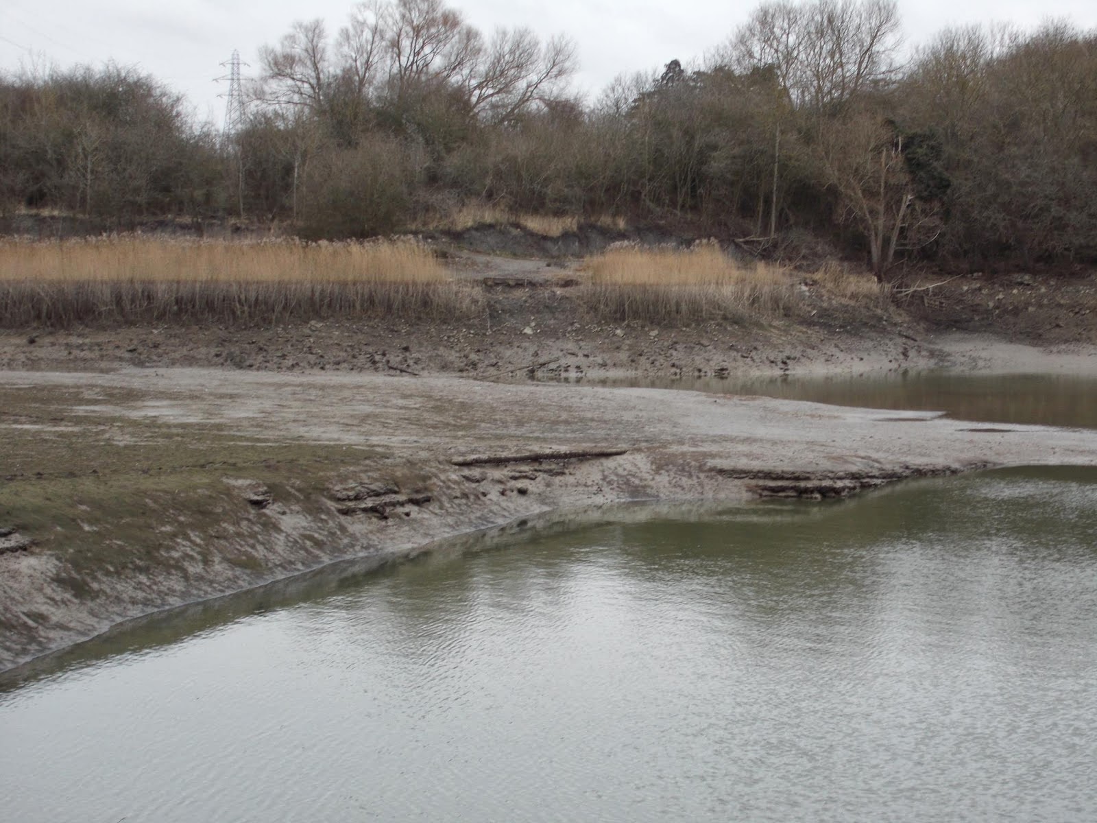 Bishops Bowl Fishery : Carp Hustling at Bishops Bowl - Mitre Pool