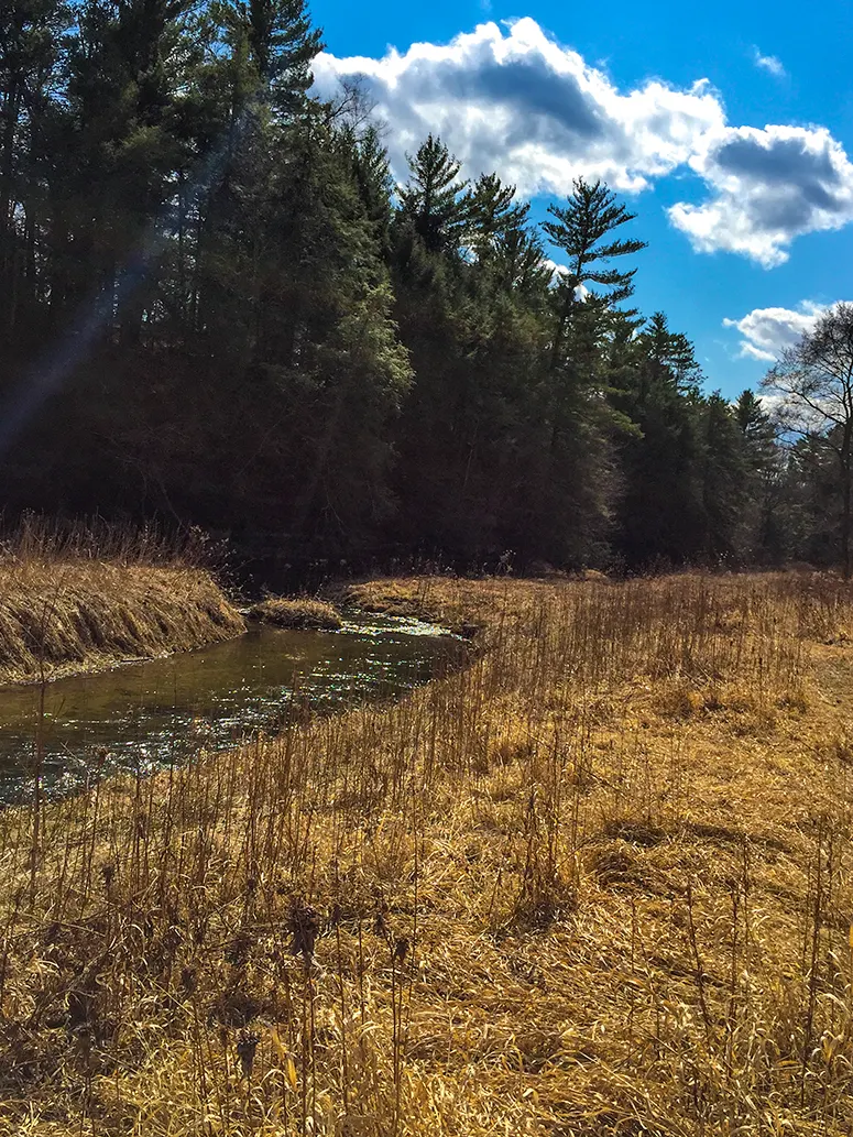 Hiking the Kickapoo Valley Reserve - Billings Creek
