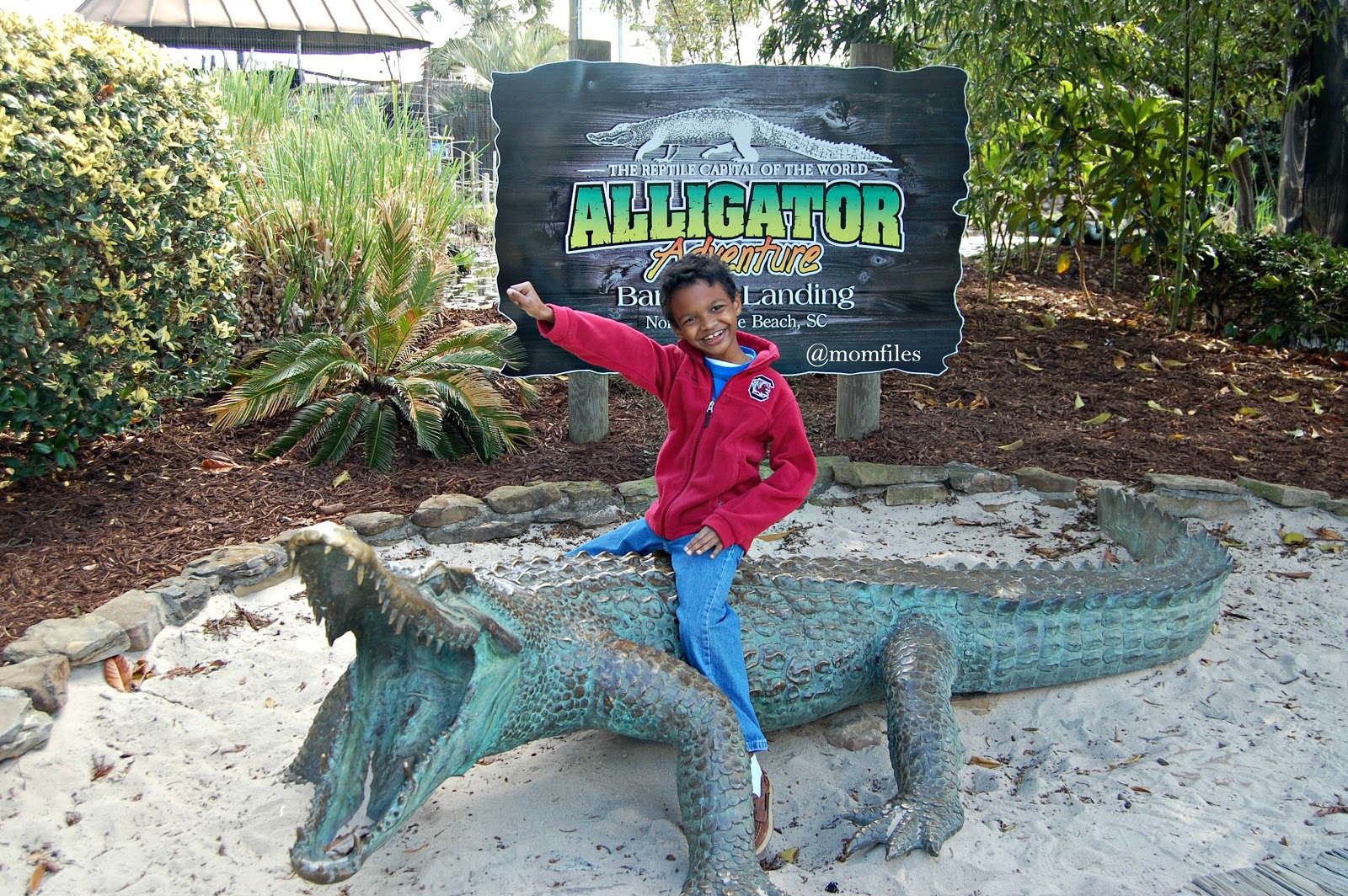 Alligator Adventure Myrtle Beach, South Carolina Review | Mom Files