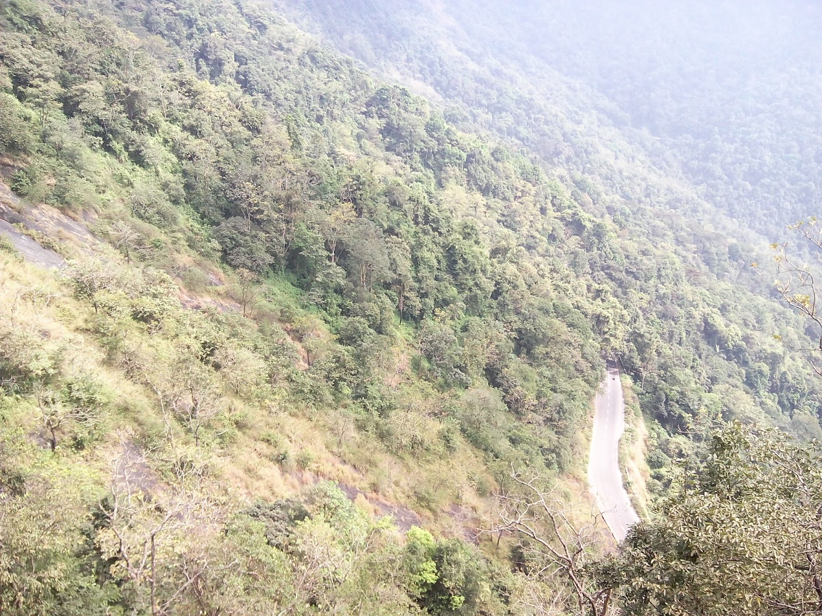 My picture gallery: 'Thamarassery Churam'; the ghat road to wayanad