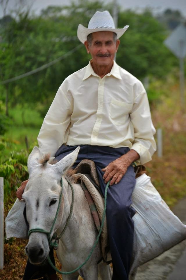 MANABI ....ECUADOR: HOMENAJE AL BURRO