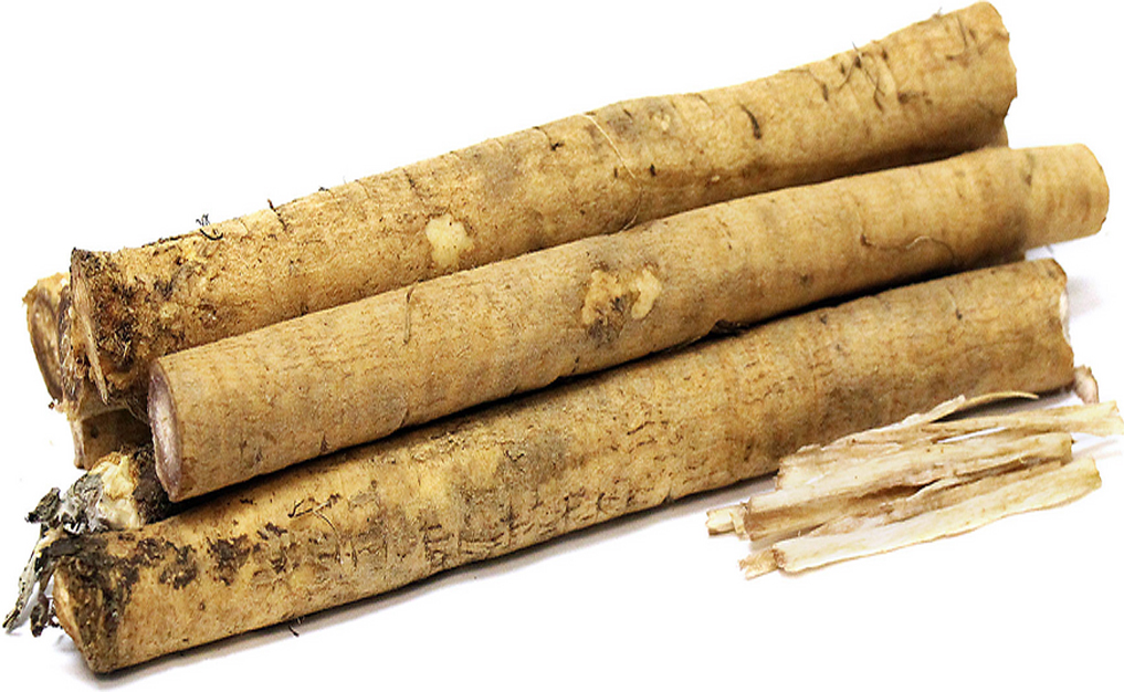 Bedah Manfaat: Khasiat Akar Burdock untuk Kulit dan Kecantikan - Garda ...