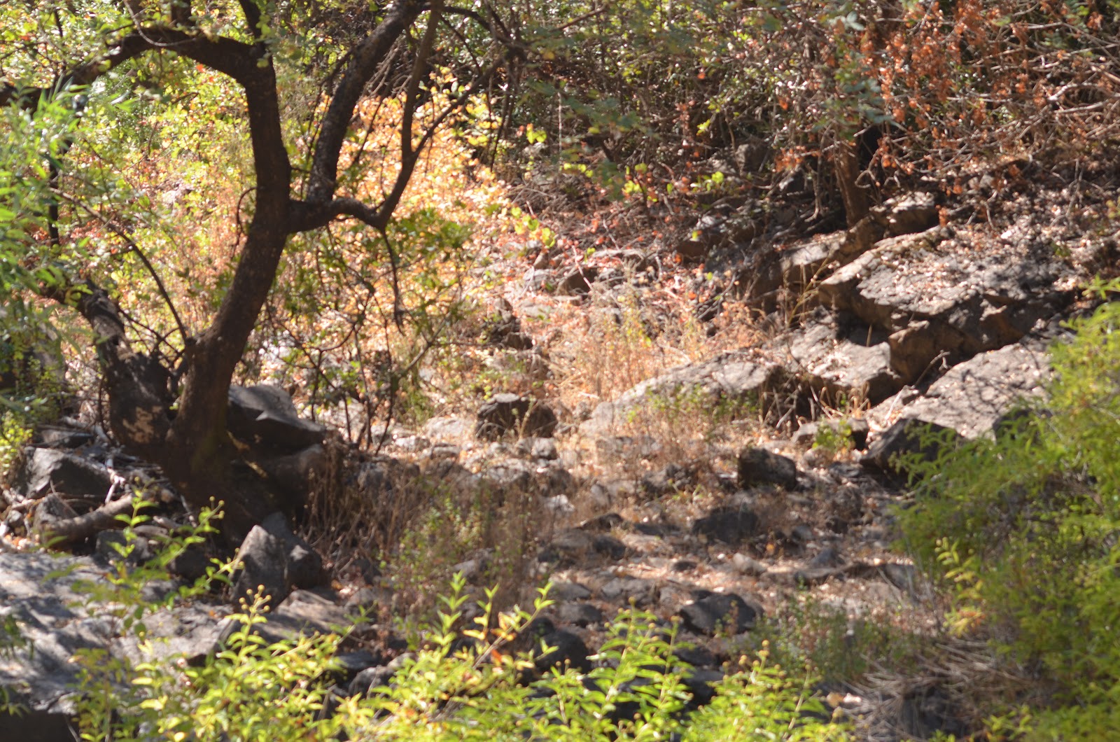 Peachy Hiker: Coloma's Dutch Creek Falls and Johntown Falls