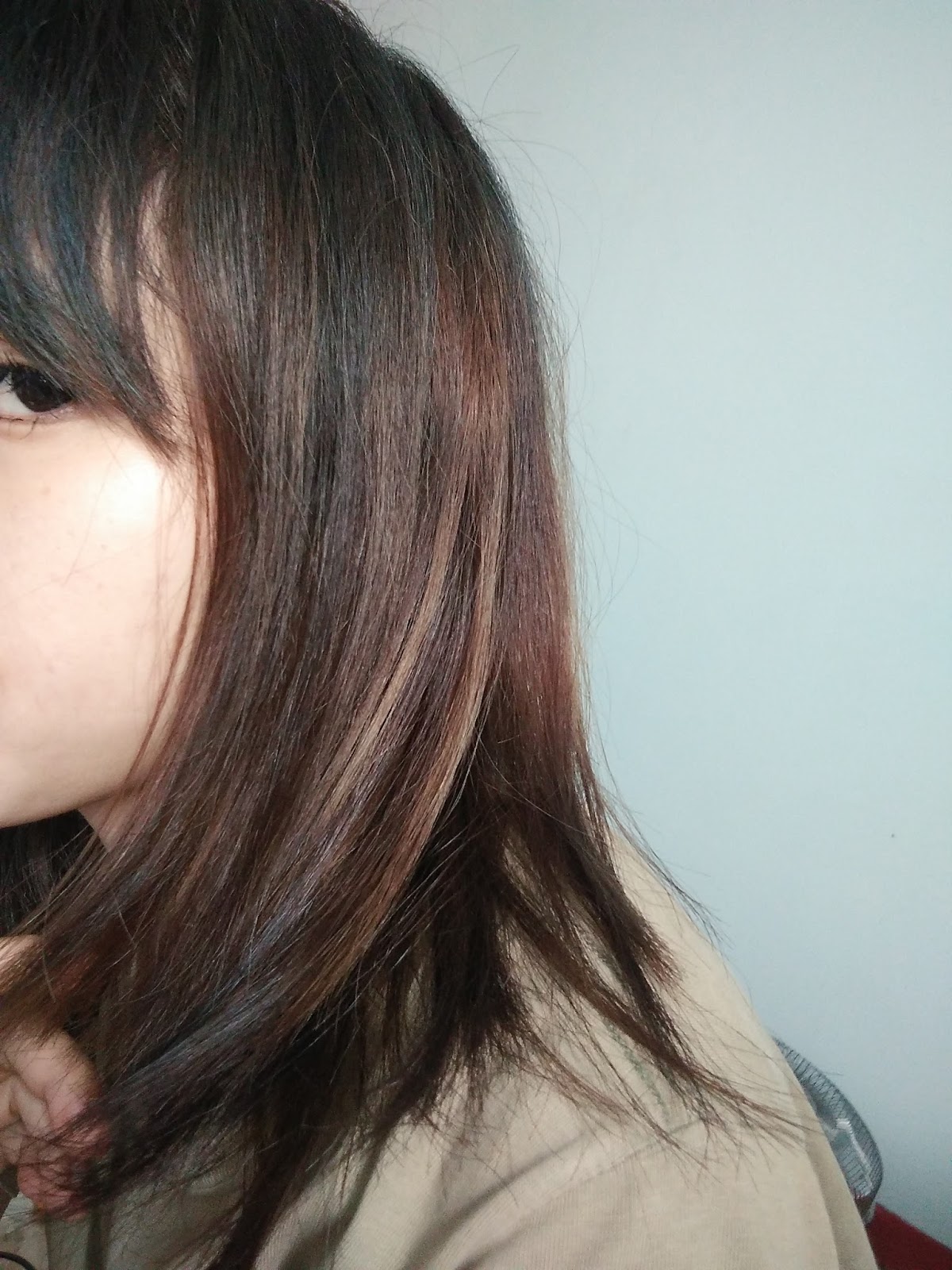 VICKY STORY : [REVIEW] NYU CREME HAIR COLOUR