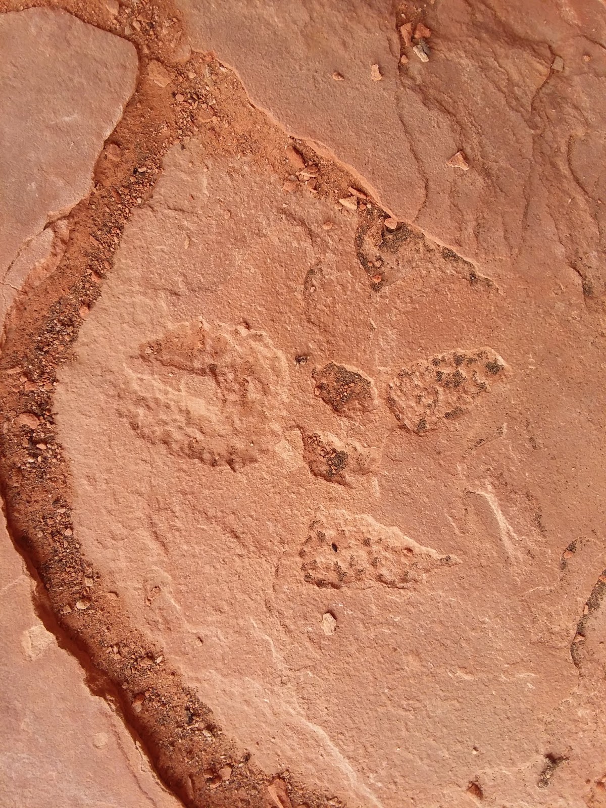 Oddities Curios and Other repressed Emotions: The Vortex, Petroglyphs ...