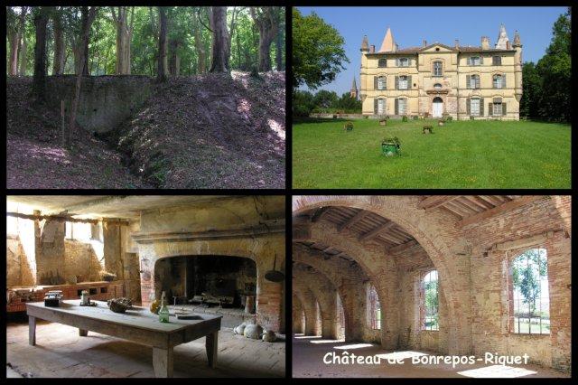PROMENADE...: Expositions de Frédéric Richet dans les châteaux à ...