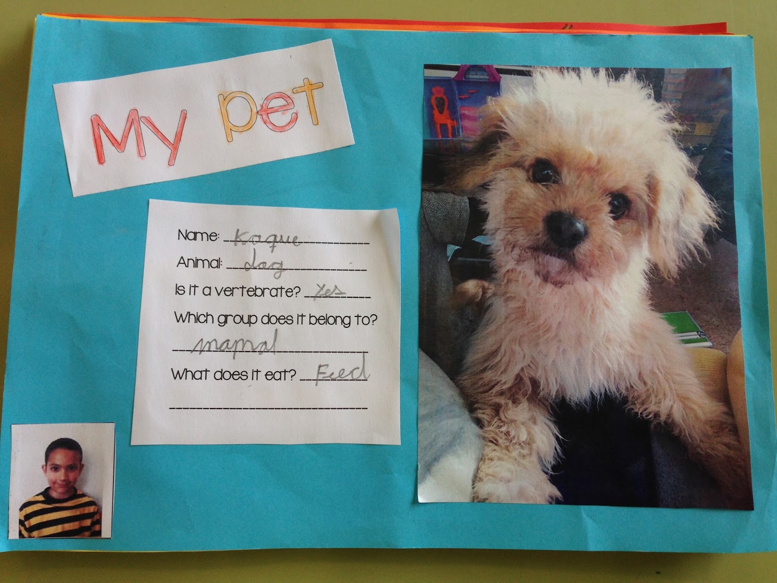 SCIENCE IN THE SCHOOL: My Pet