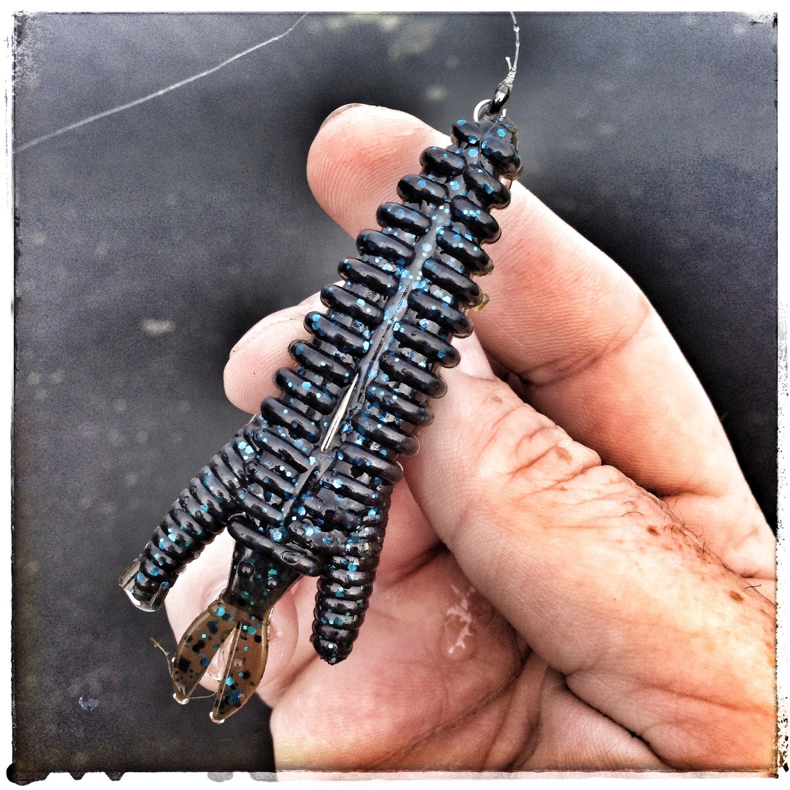 Bass Junkies Frog Pond: NetBait Kickin B Review