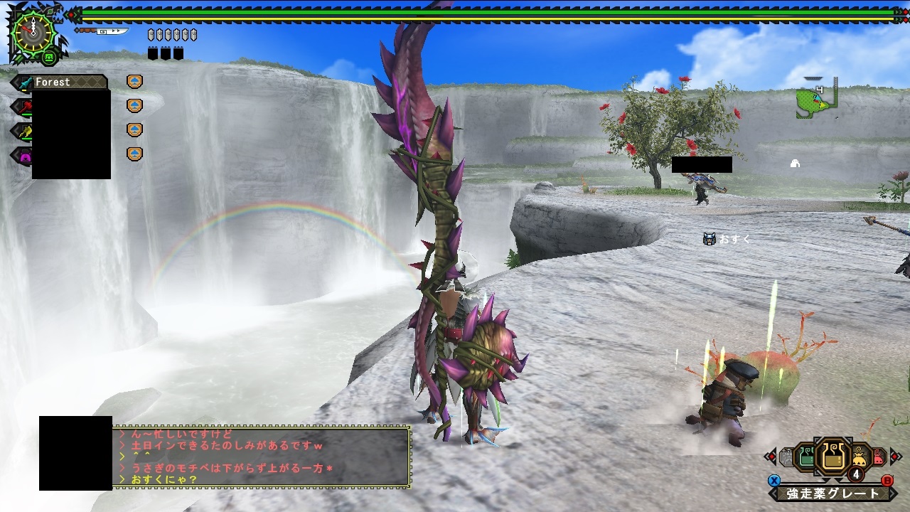 MHF～極道～: 【MHF-Z】彩の滝のエリア4が旧密林のBCにそっくり