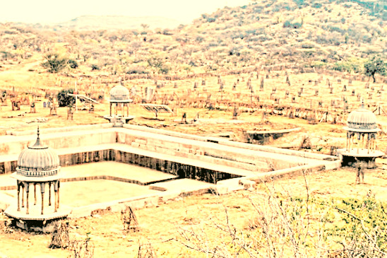 Bansyal conservation reserve khetri