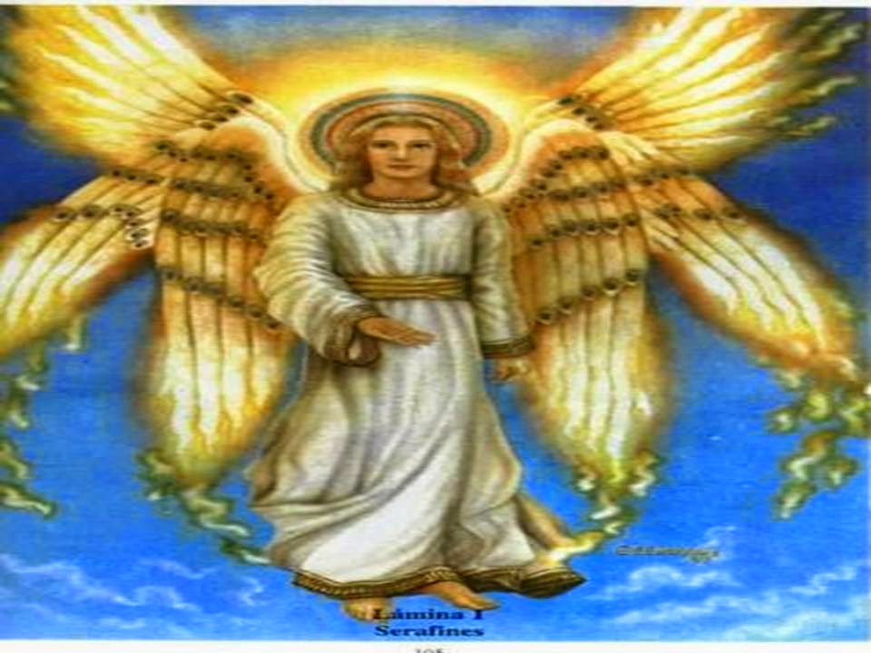 ÁNGELES DE DIOS EN ESTE LUGAR: LOS SERAFINES