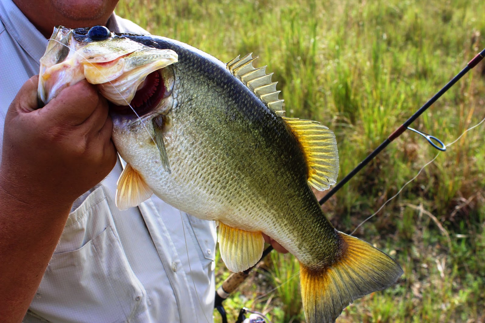 Take Another Road: Hunting and Fishing Babcock Ranch