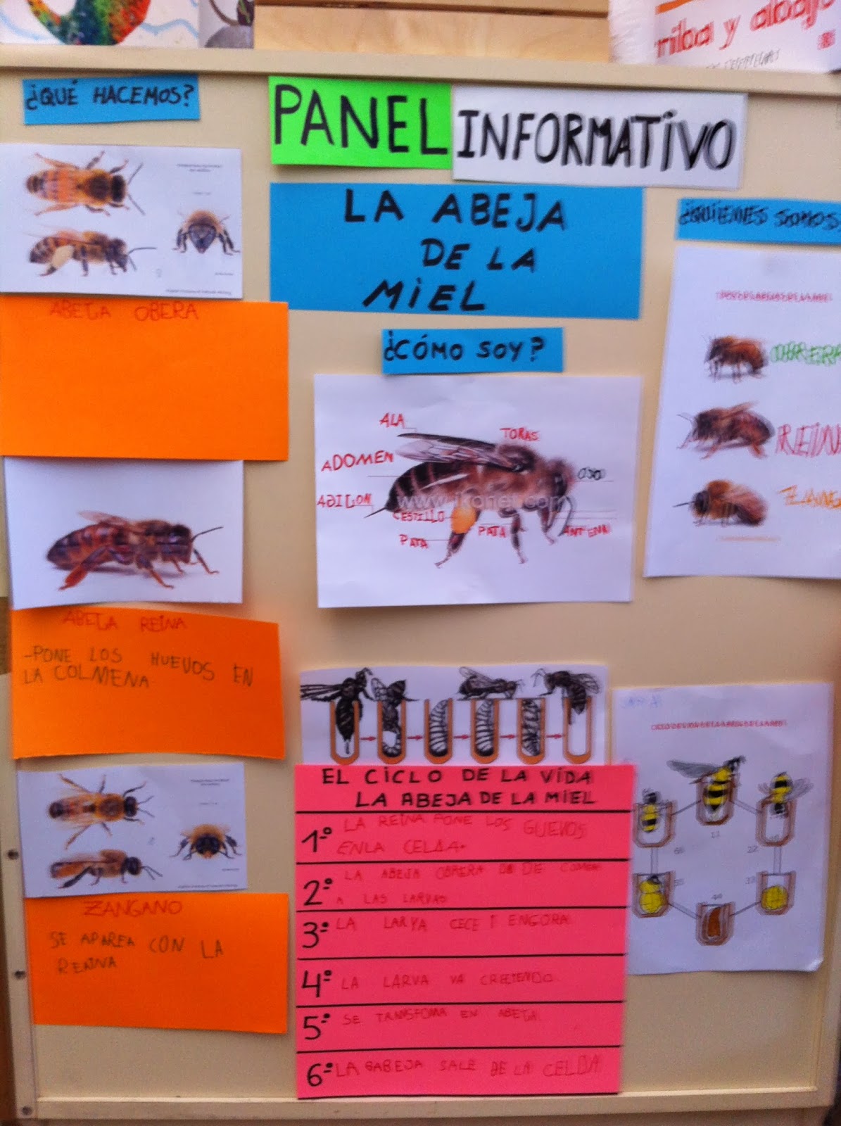 Pin en Ideas para la clase