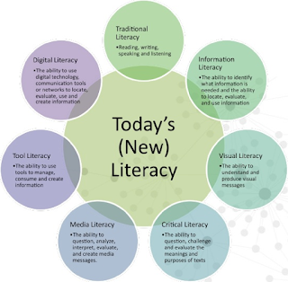 Tre's Literacy and Numeracy Blog: What are the Literacy and Numeracy ...