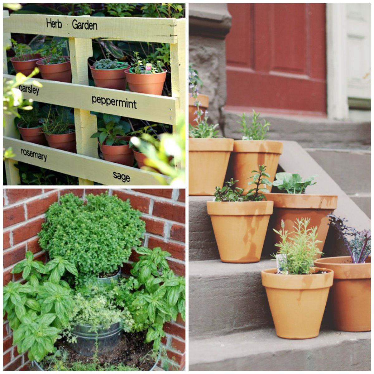 Mini Hortas: Ideias para fazer uma mini horta!!