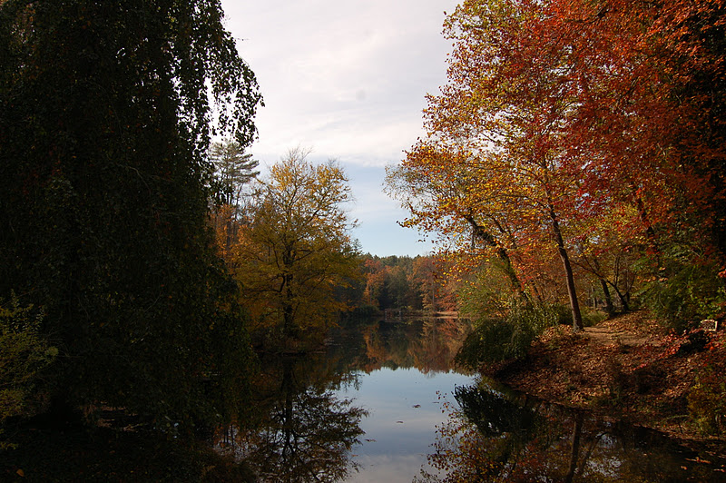 MOUNTAIN MUSINGS: A Visit to the Bass Pond
