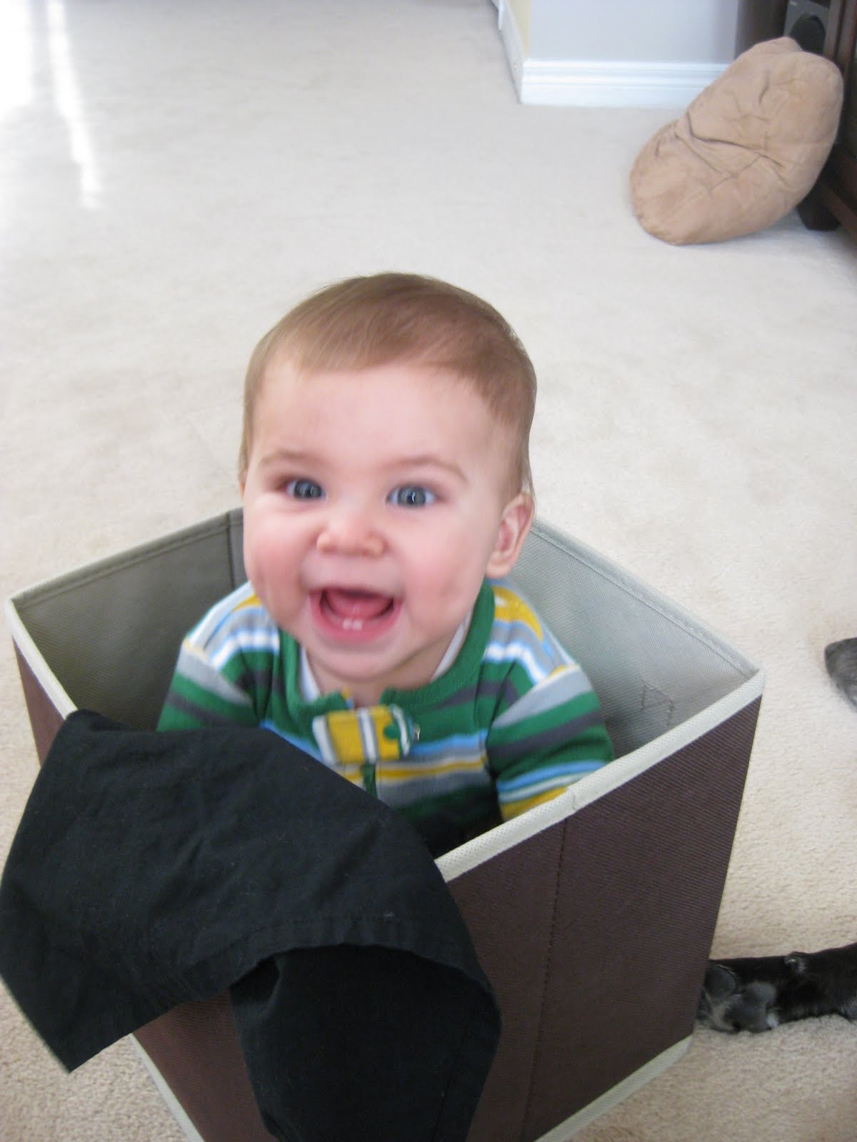 Kaasa's Crib: It's Our Kid in a BOX!