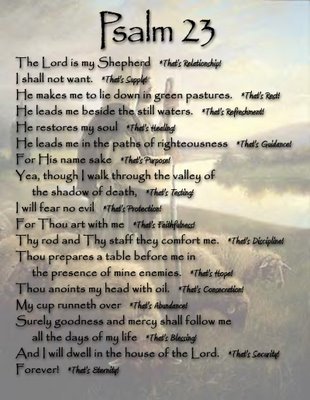 Henok Solomon's Instagram, Twitter & Facebook on IDCrawl