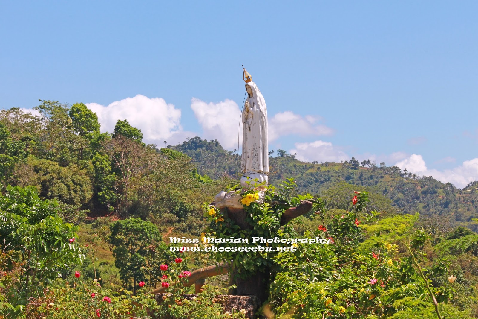 Cebu City Photos: Coal Mountain Resort - Argao, Cebu