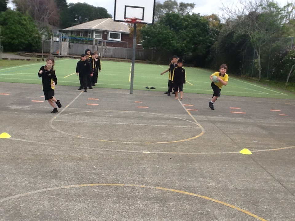 Room 8 Year 4 - Sunnybrae Normal School