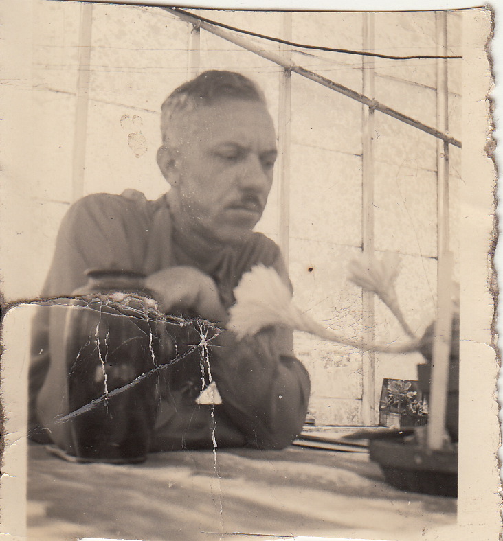 Dull Tool Dim Bulb: The Saga of Cactus Mac (!) Rare Photographs of ...