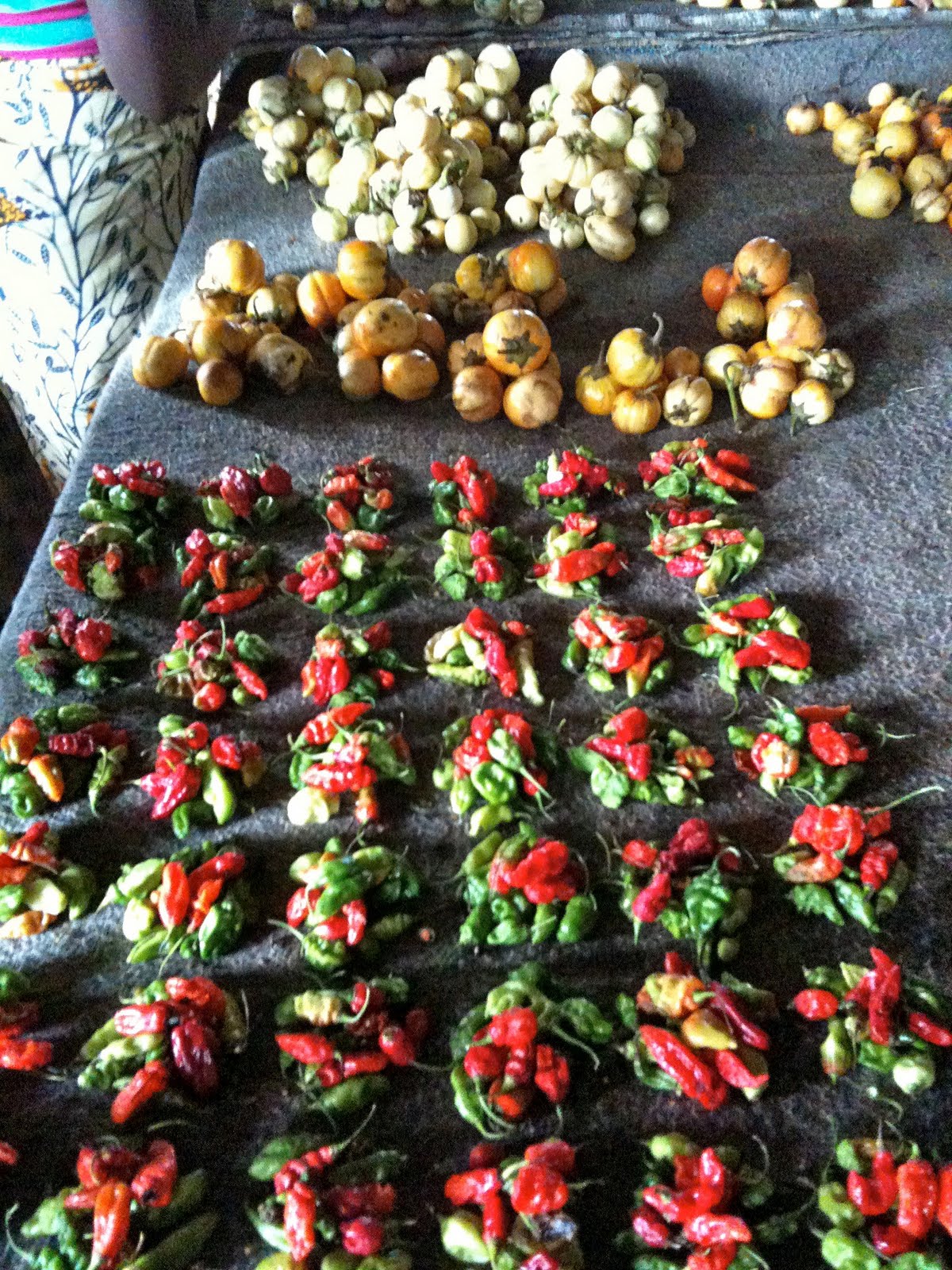 Moved 2 Monrovia: Pepper Coast