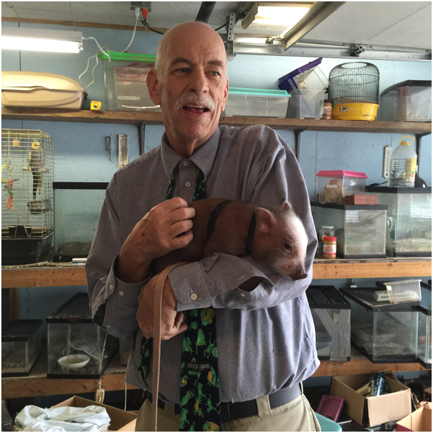 Very Small Pig – Stephen Bodio