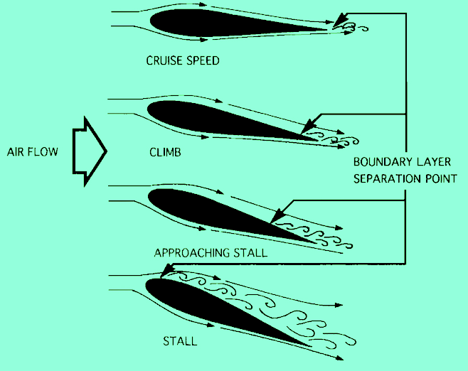 The Arts, Sciences and Medicine: THE FALLING LEAF