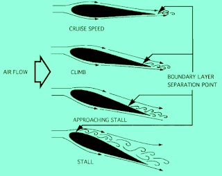 The Arts, Sciences and Medicine: THE FALLING LEAF