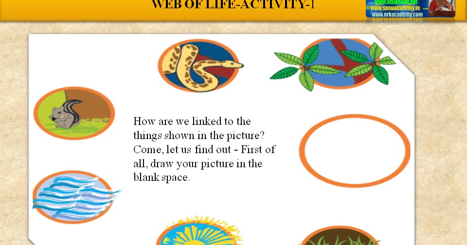SONU ACADEMY: WEB OF LIFE - ACTIVITY