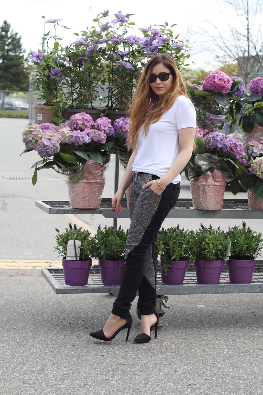 Sweat Pants at the Flower Market | Sound of Sweet Lullabies