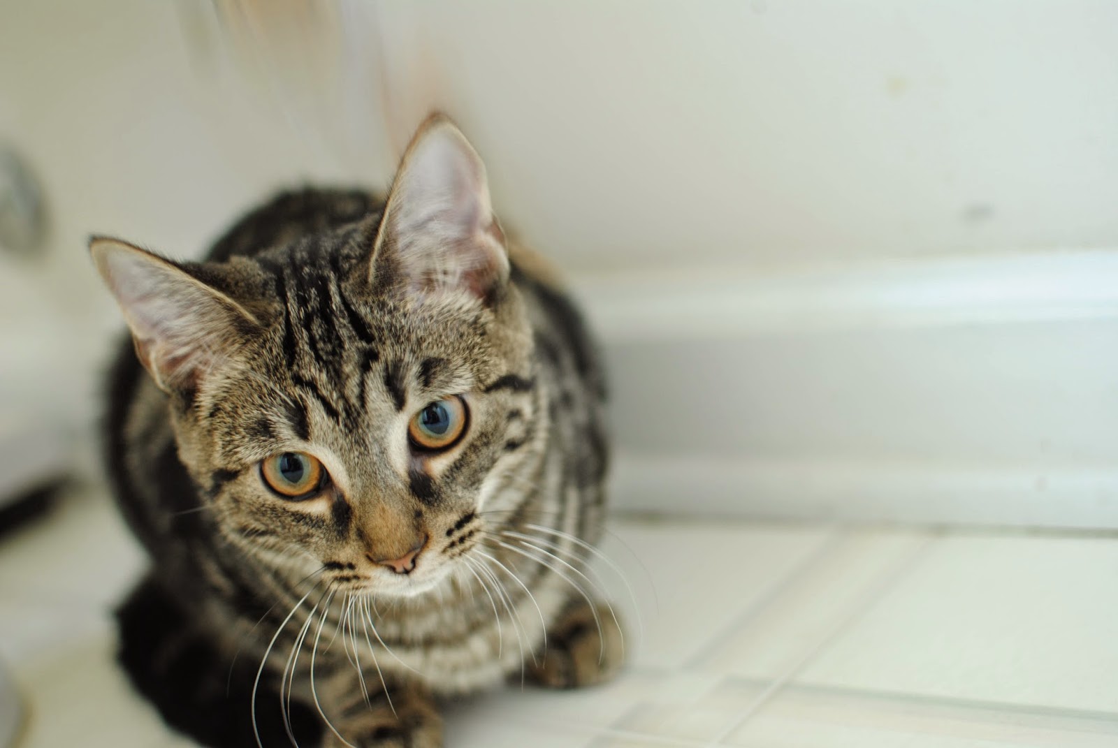 My Life in His Hands