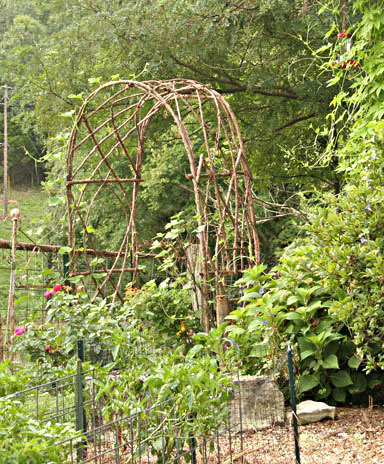 Jim Long's Garden: Bentwood Trellises for Your Garden